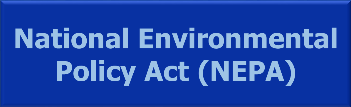 Organizational Structure